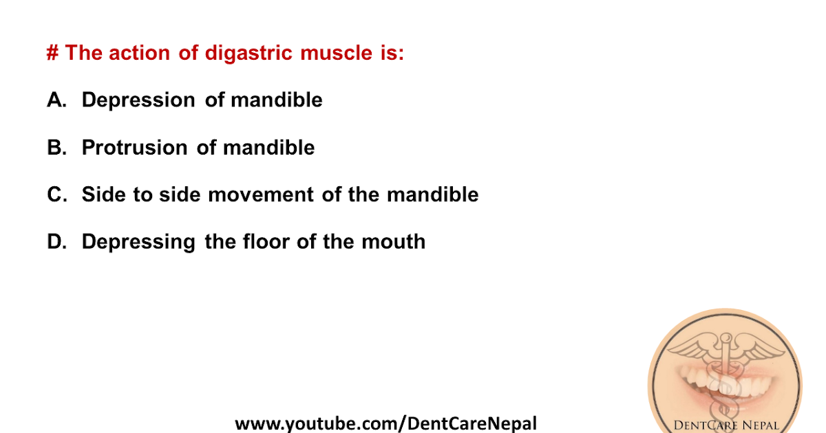 Dentosphere : World of Dentistry: The action of digastric muscle is: