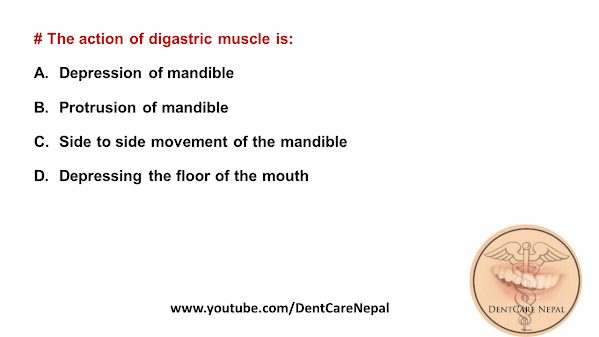 Dentosphere : World of Dentistry: The action of digastric muscle is: