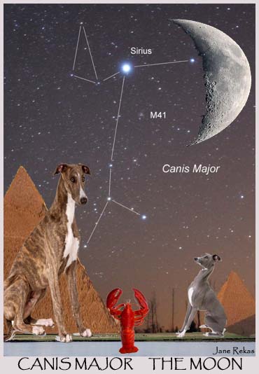 Sirius Starseeds: Canis Major | Fixed Stars