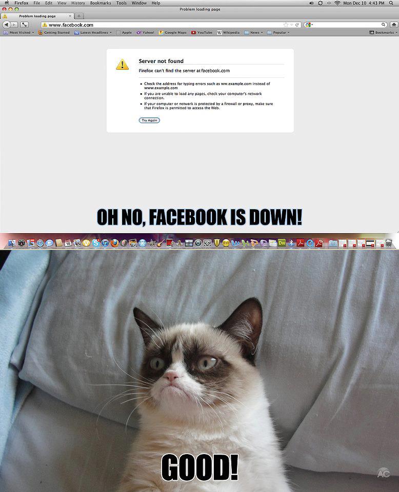 Grumpy Cat: Facebook Is Down