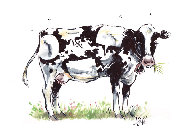 Festival BD de Cibeins: Dessine-moi une vache