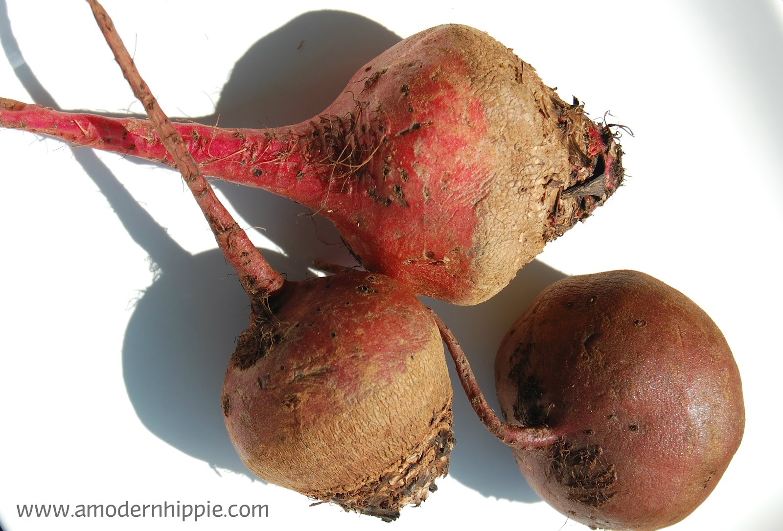 A Modern Hippie: How to Roast Fresh Beets {Simple Steps to Healthy ...