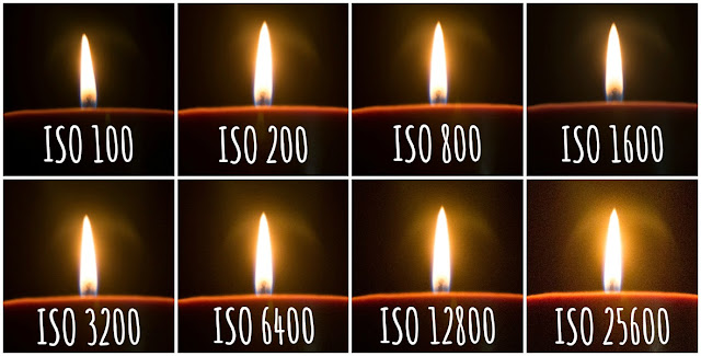 What is ISO? {Photography Basics} | Photography