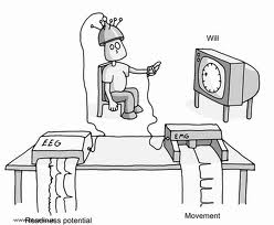 Poruncasual: Existe el libre albedrìo? El experimento de Benjamin Libet