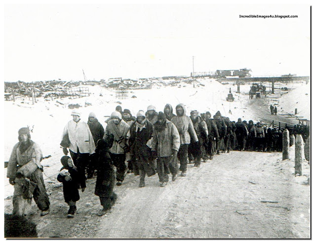 ILLUSTRATED HISTORY: RELIVE THE TIMES: Images Of War, History , WW2 ...