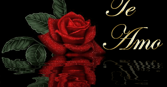 Imágenes de rosas con frases de amor