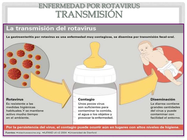 Prevención de Enfermedades: Rotavirus (Enfermedad Viral)