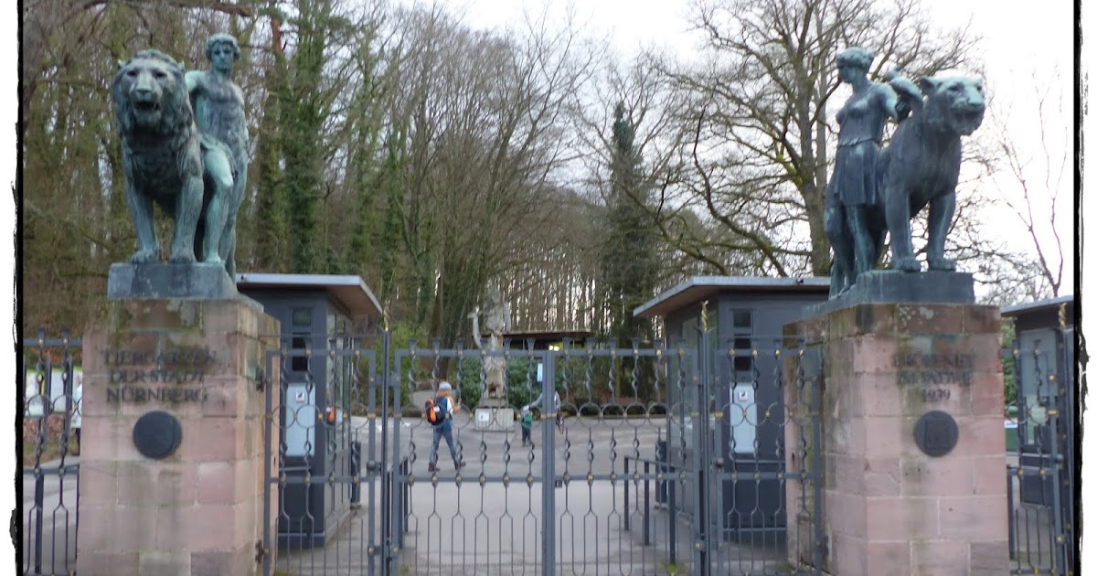 Ein Blick durch das Kreativefenster: Tiergarten Nürnberg/ Zoo Nuremberg