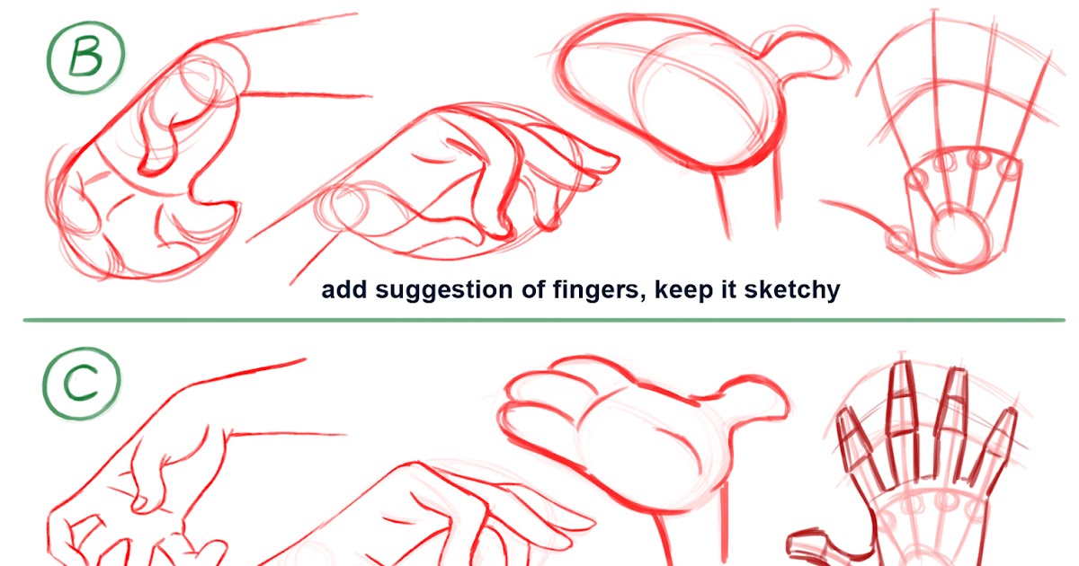 Learning drawing principles: hands
