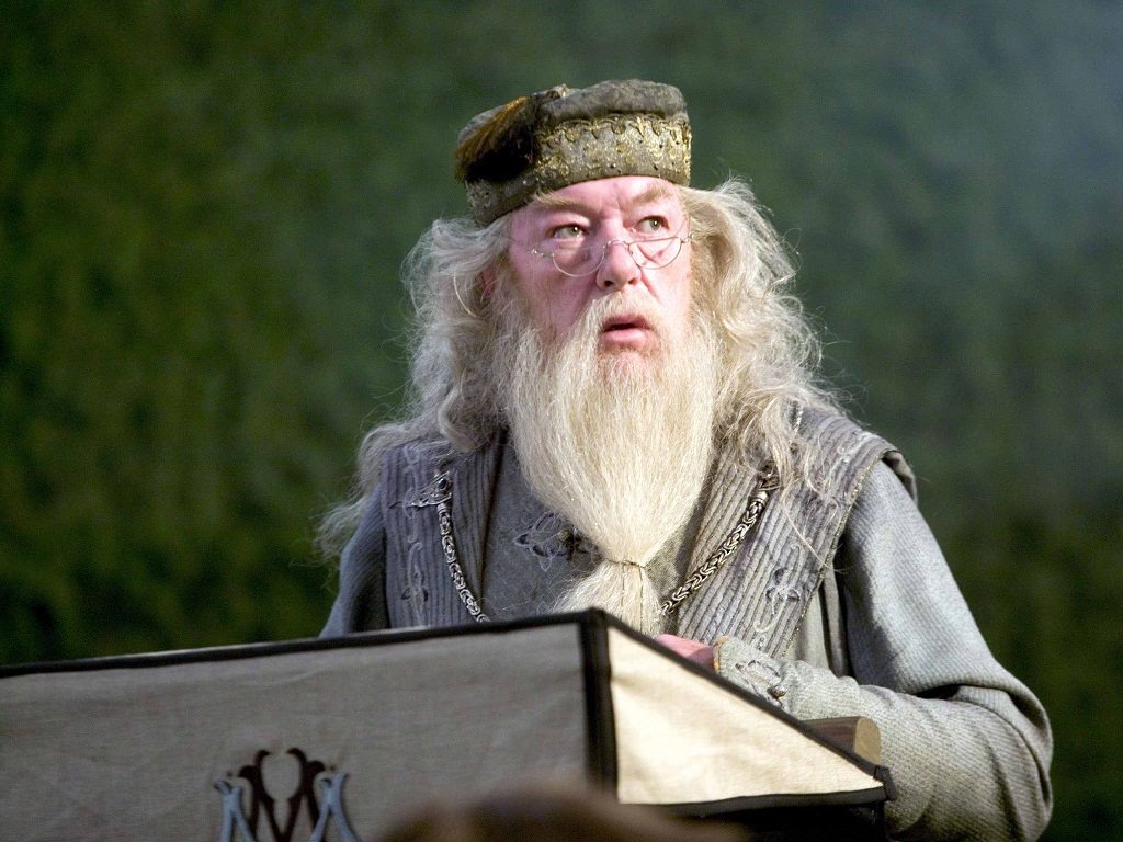 THE GRANDMA S LOGBOOK ALBUS DUMBLEDORE WISDOM AND INTELLIGENCE the-grandma-s-logbook-albus-dumbledore-wisdom-and-intelligence
