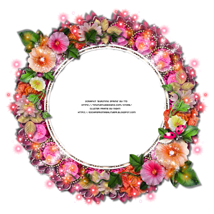 Escape From Reality Blog: FTU 'Bursting Spring' Cluster Frames TTD