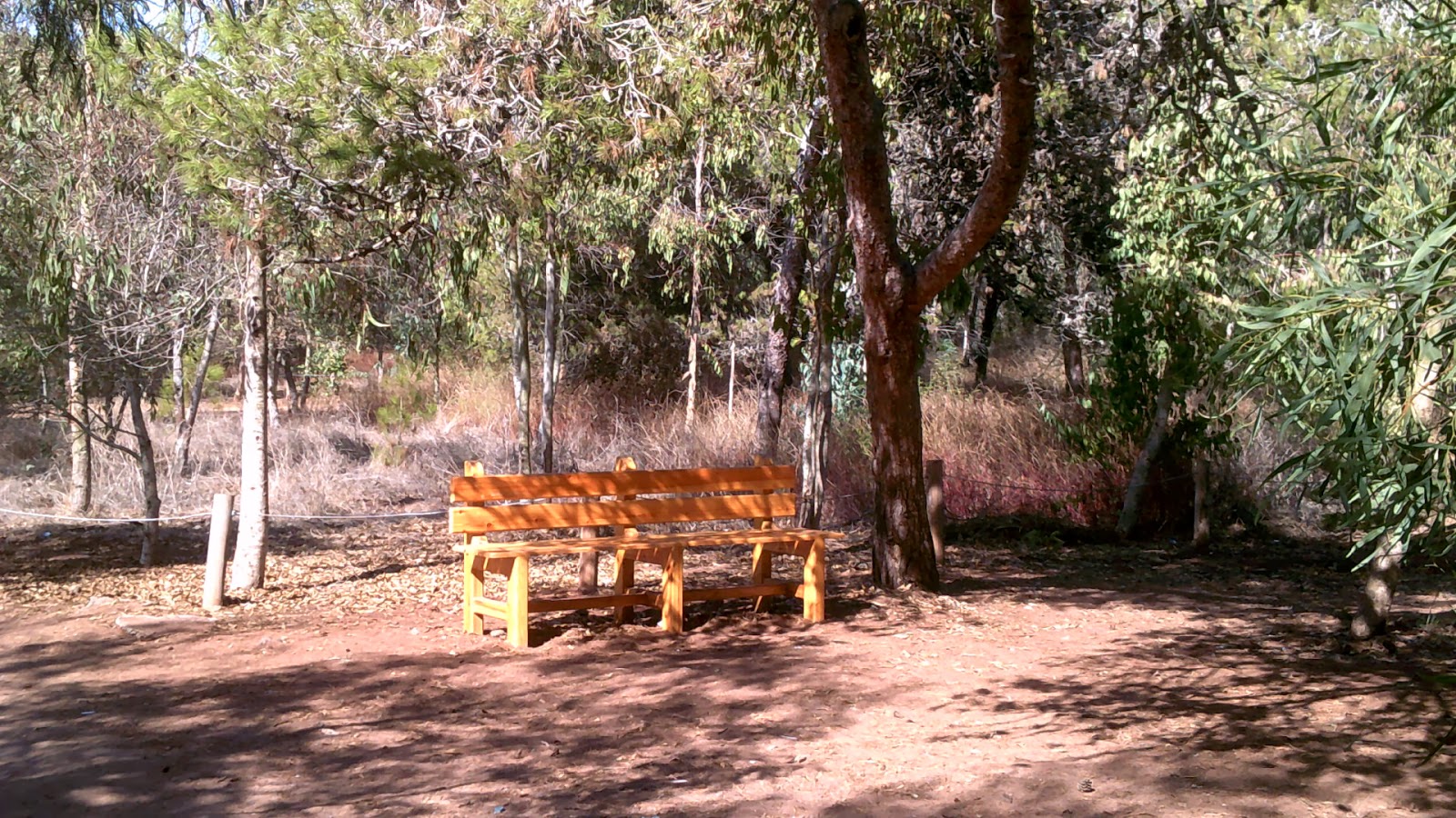 MAROC CORRECT: HARHOURA ET FORET