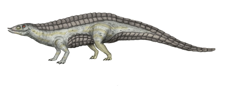 Los animales en la prehistoria: Animales prehistóricos con la letra A