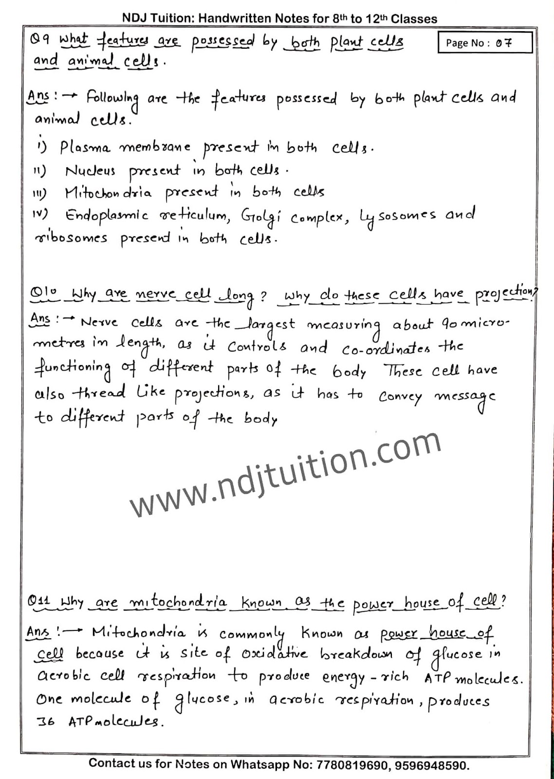 Cell - Structure and Function Handwritten Notes for 8th Class Science