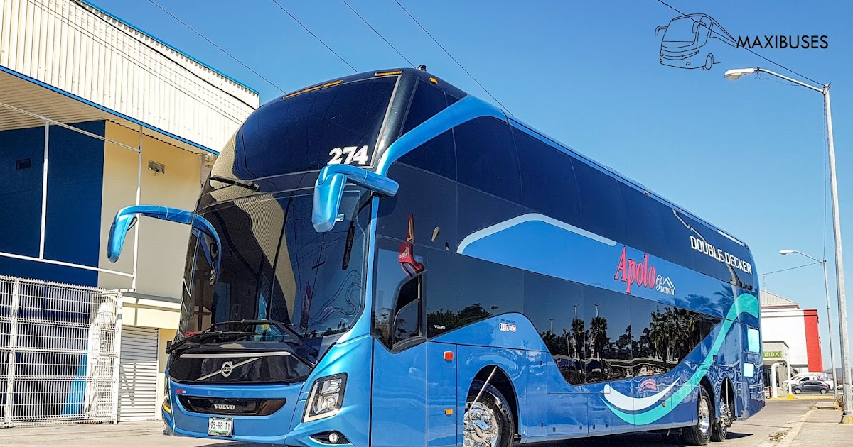 MAXIBUSES: ESPECIAL - APOLO PLATINUM