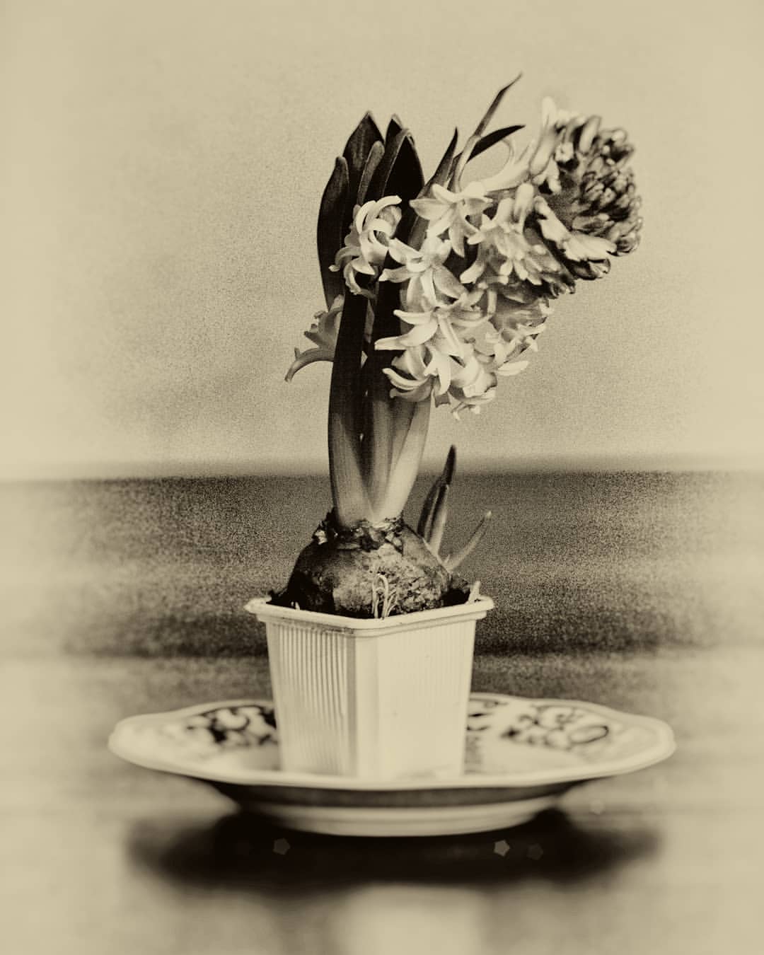 Desprès de; des dels meus ulls: Milan Junek