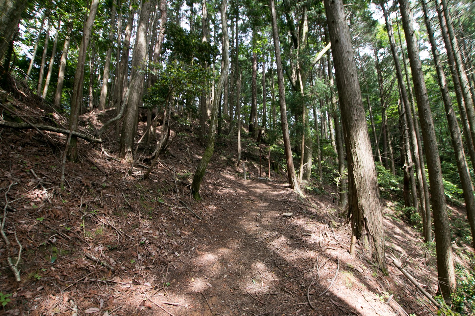 Kinzan Castle -Time to treason (7) separation of two strong enemies ...