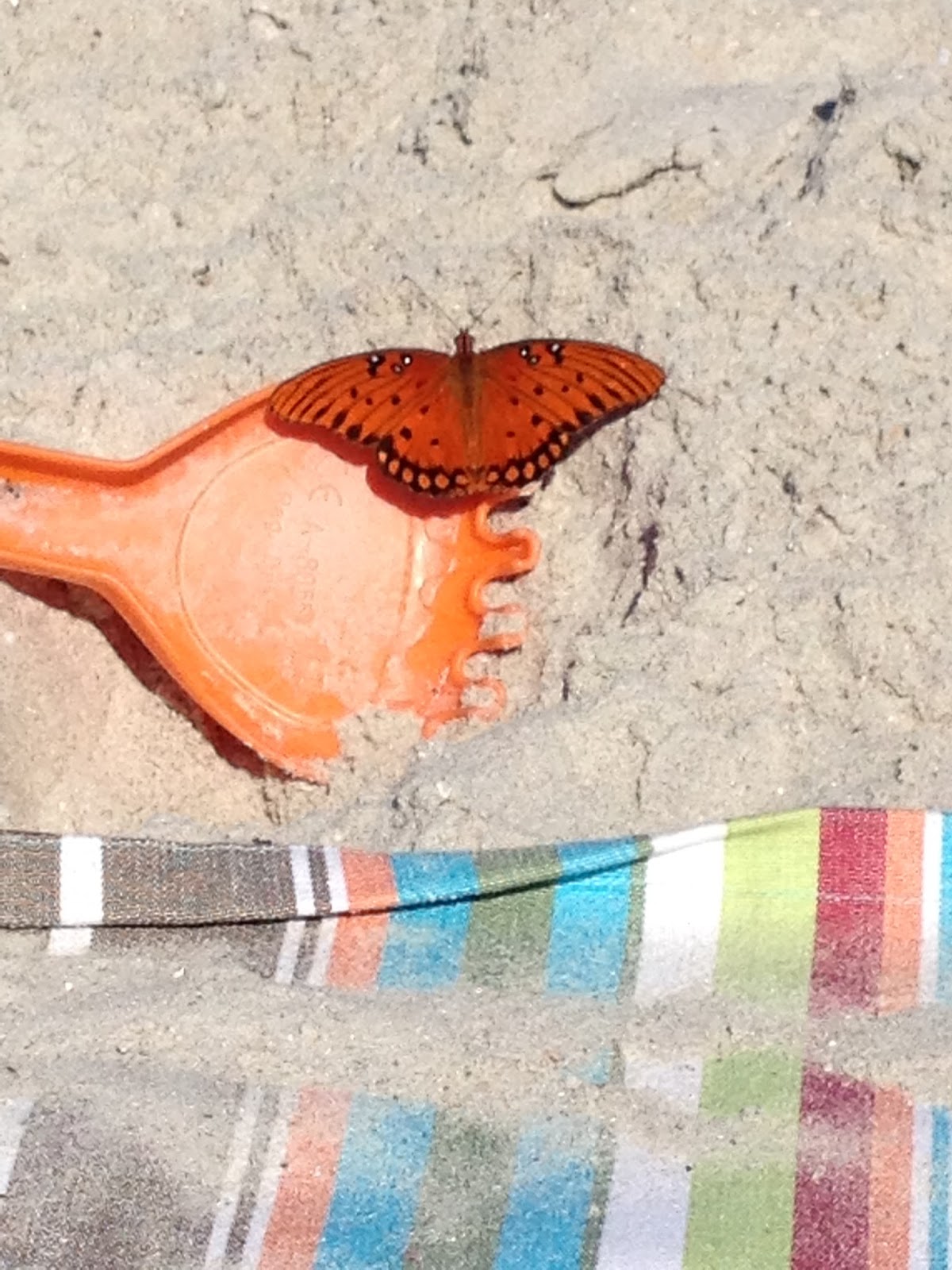 Creative Inclinations