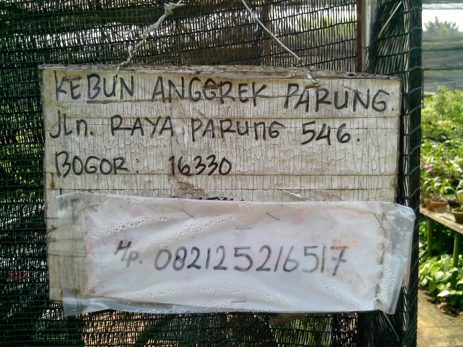 Writing is healing!: Berkunjung ke Parung Farm