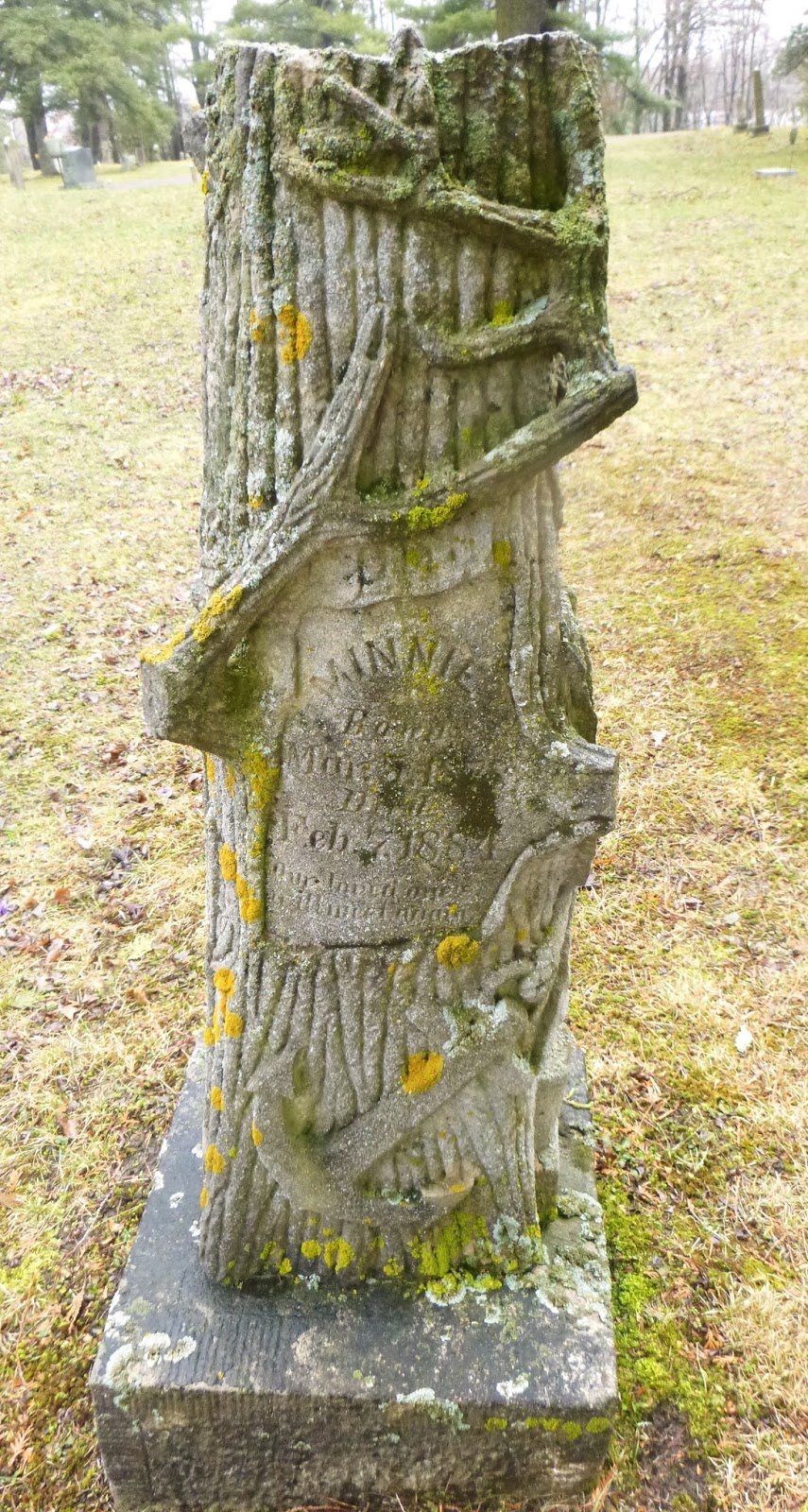 Detritus of Empire: Tree Shaped Tombstones - Merrillan Wisconsin