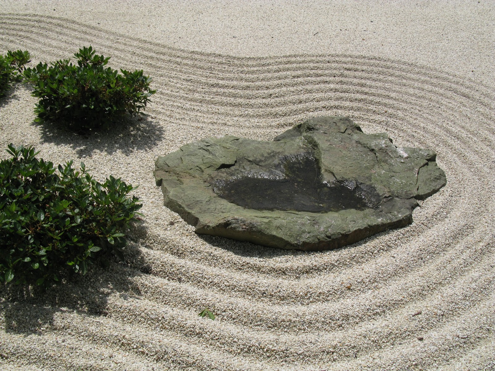 Creative Inclinations