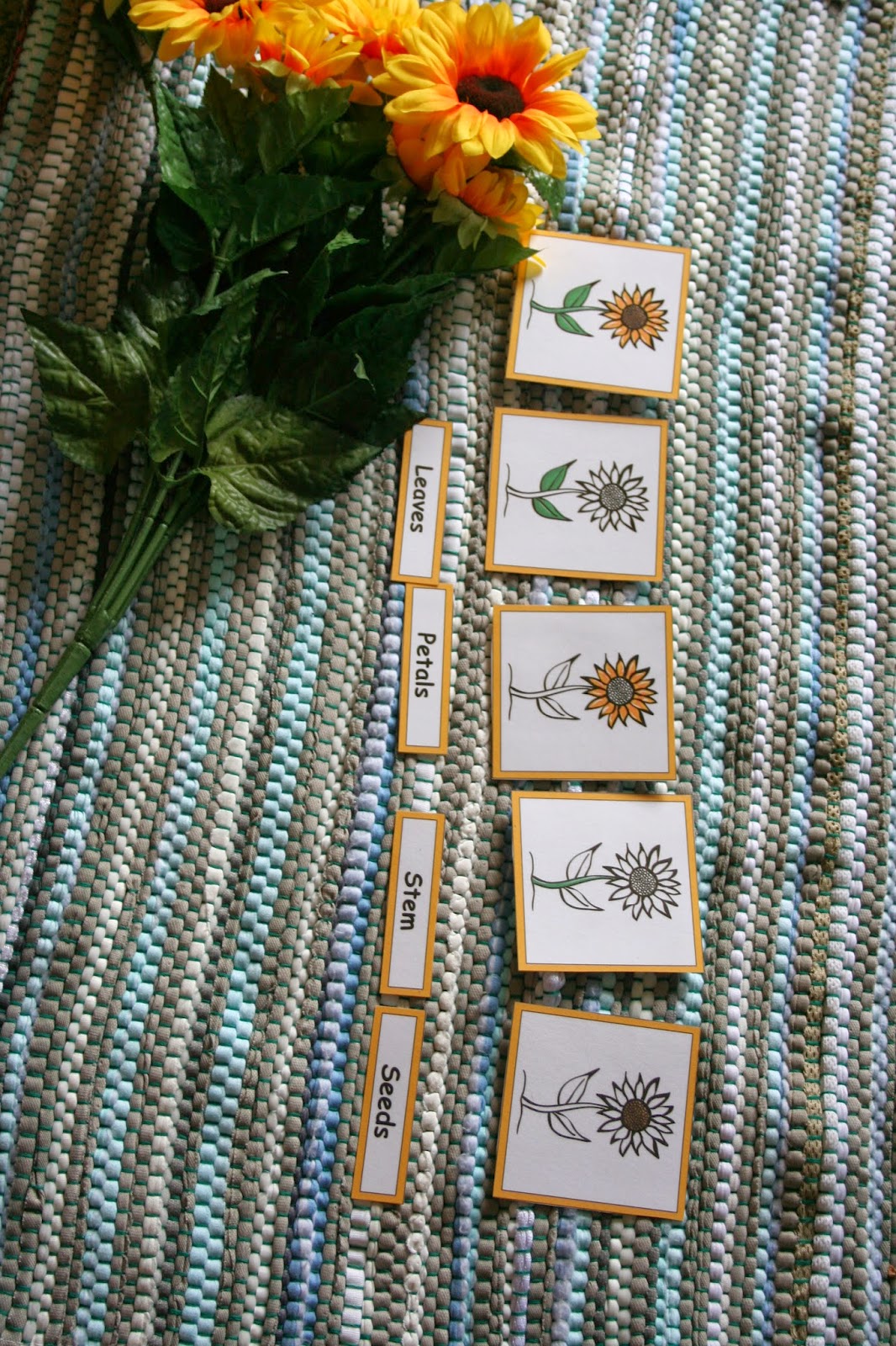 Our Country Road: Montessori Preschool Spring Theme