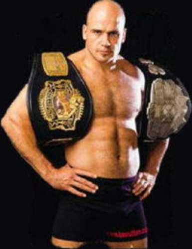 ARTES MARCIALES MIXTAS MMA: Bas Rutten