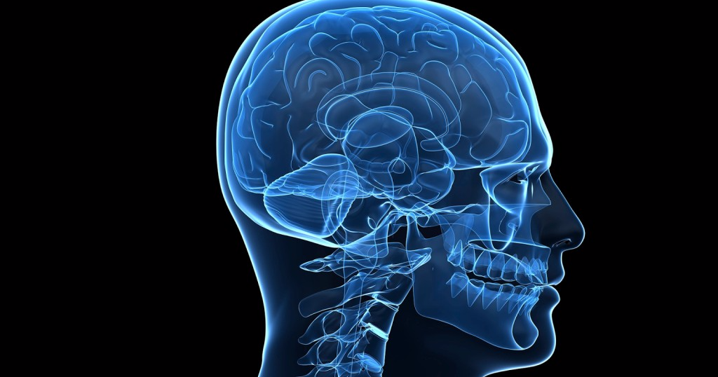 Five Amazing Facts About Human Brain AROUND THE PLANET five-amazing-facts-about-human-brain-around-the-planet
