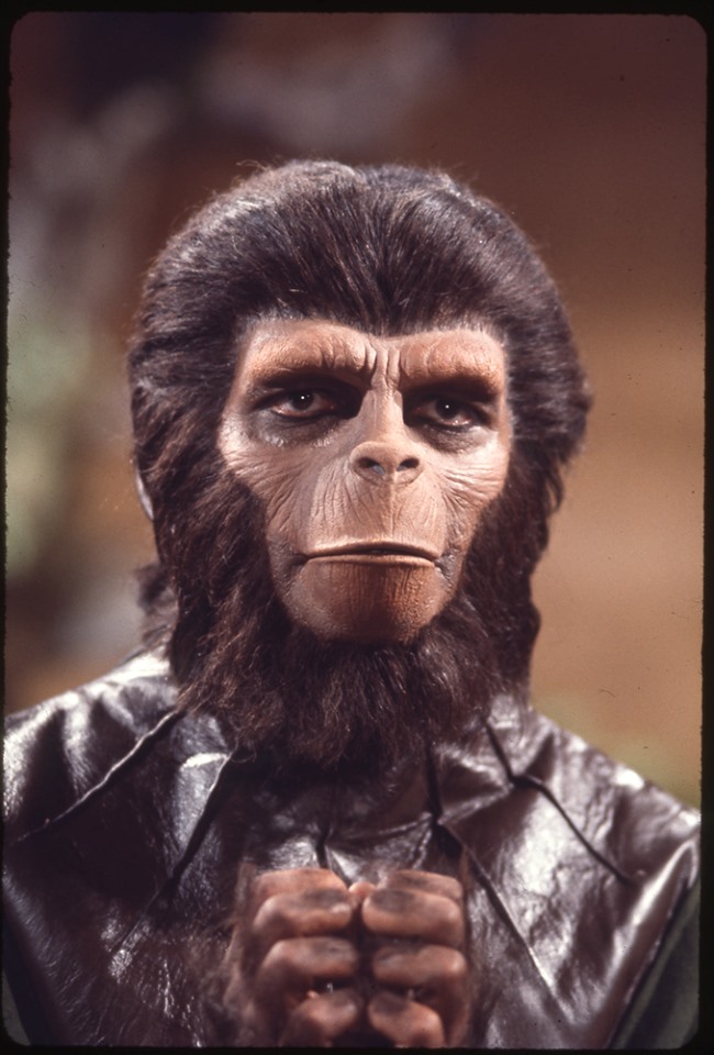 Archives Of The Apes: Five Years