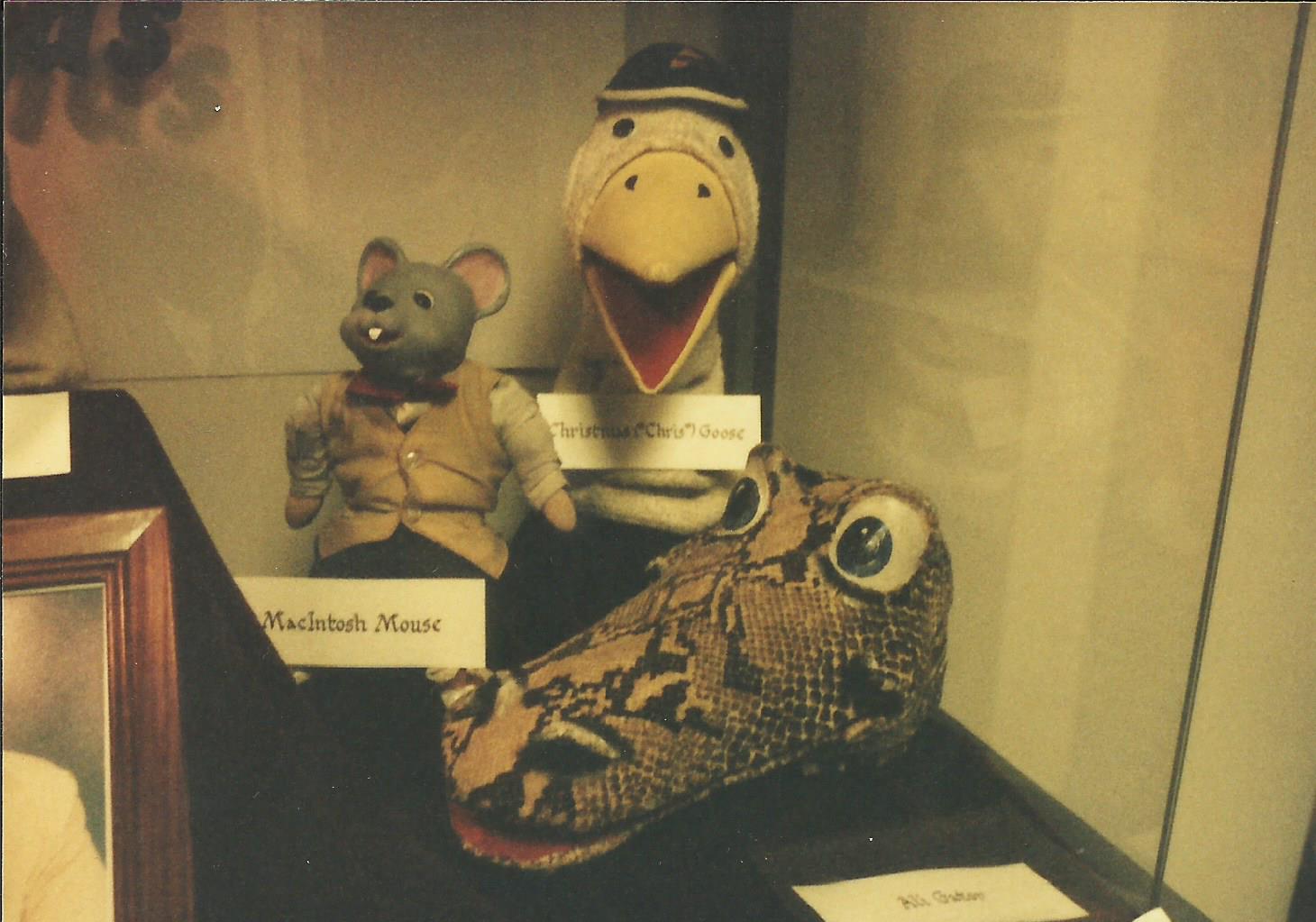 Rankin/Bass-historian: Ali Gator