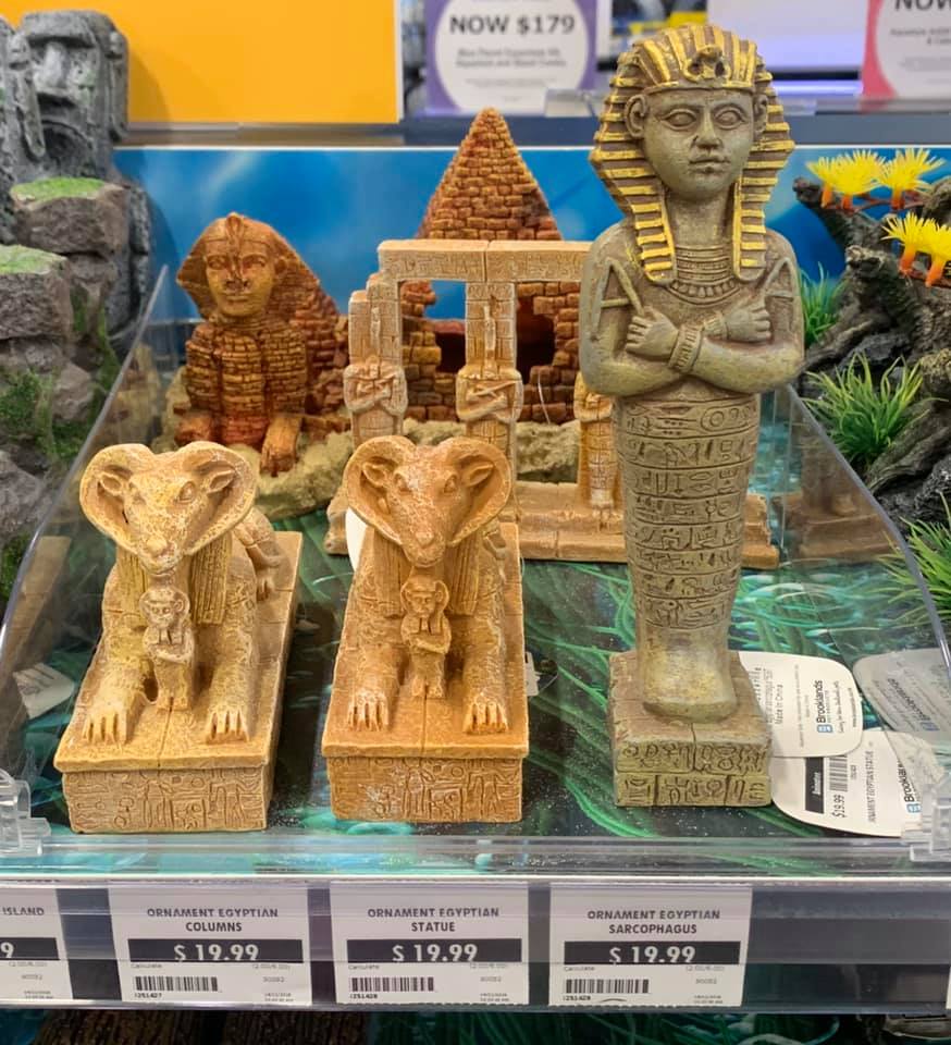 DBMM New Zealand : Pet store terrain - posted by Vince Cholewa, 15 ...