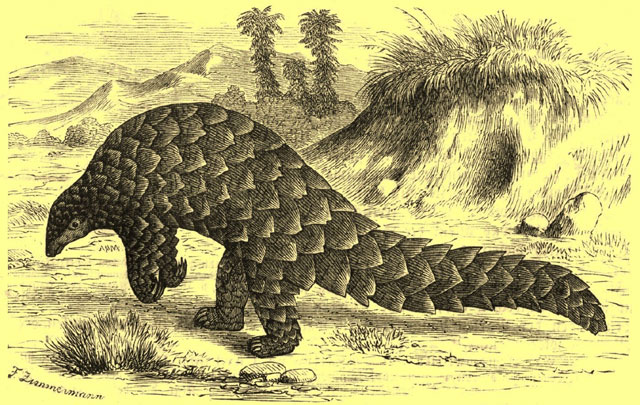 4 Cryptid Misterius Ini Konon Hidup di Indonesia - Berita Aneh dan Unik ...