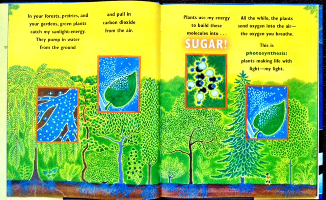 366 Books: My Year of Reading: 216. Ocean Sunlight: How Tiny Plants ...