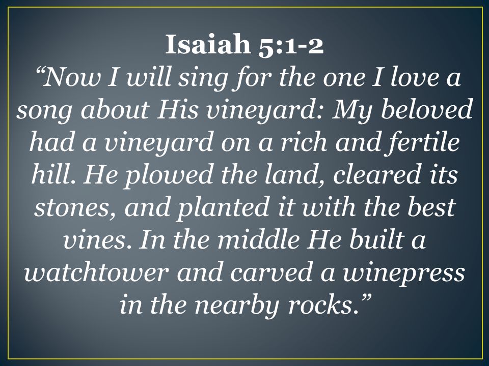 True Fruit Bearers: The parable - Isaiah 5