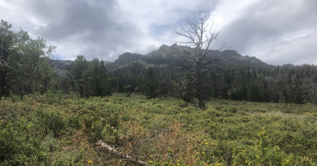 Pennsylvania Forest Fire Protection: Crew Updates