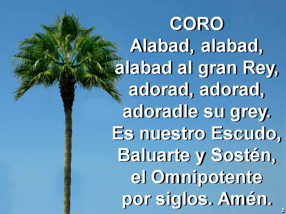 Junto al Camino: ALABAD AL GRAN REY