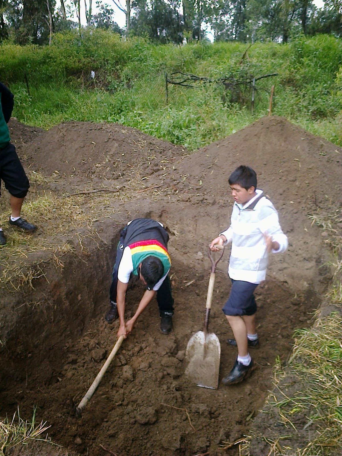 LA COMPOSTA: INFORMACION DE LA COMPOSTA