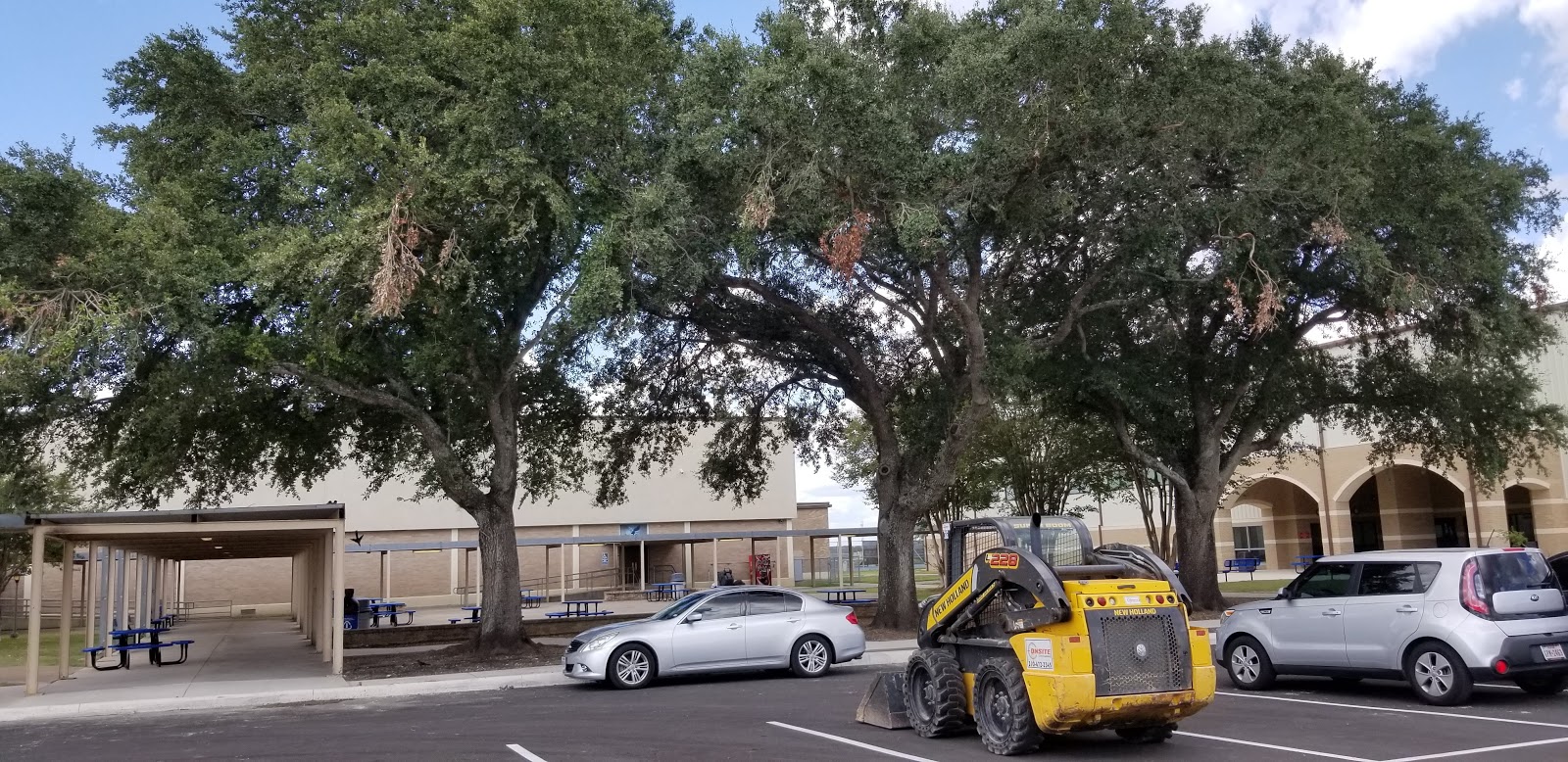 RANDOLPH RO-HAWKS - Randolph AFB, TX: 2019
