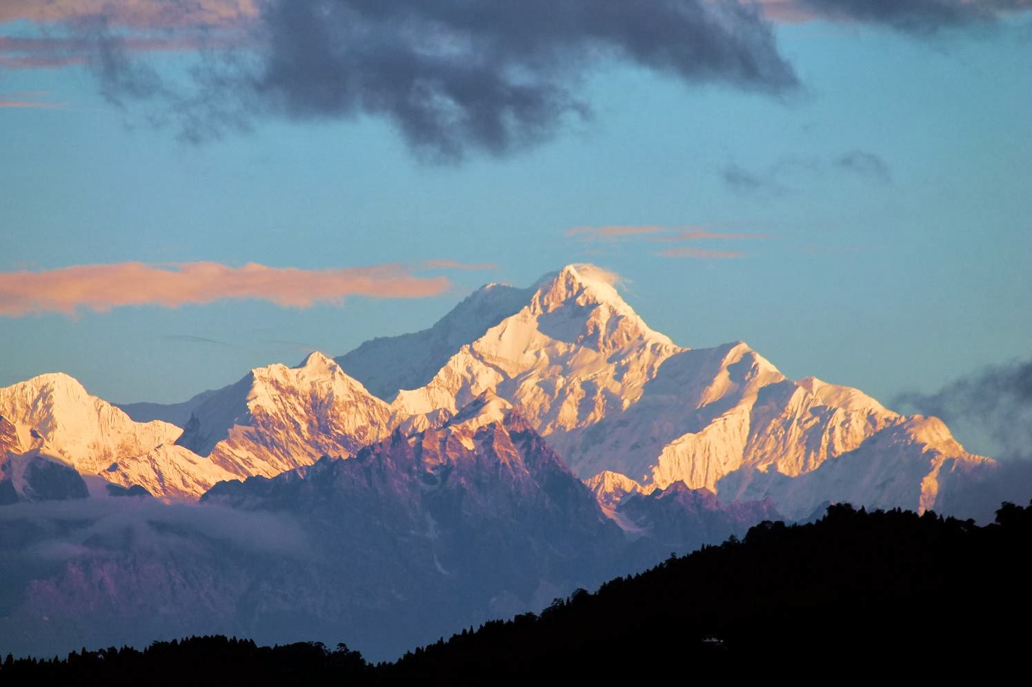 "DOOARS" THE HEAVEN OF NORTH BENGAL: JHANDI ECO HUTS