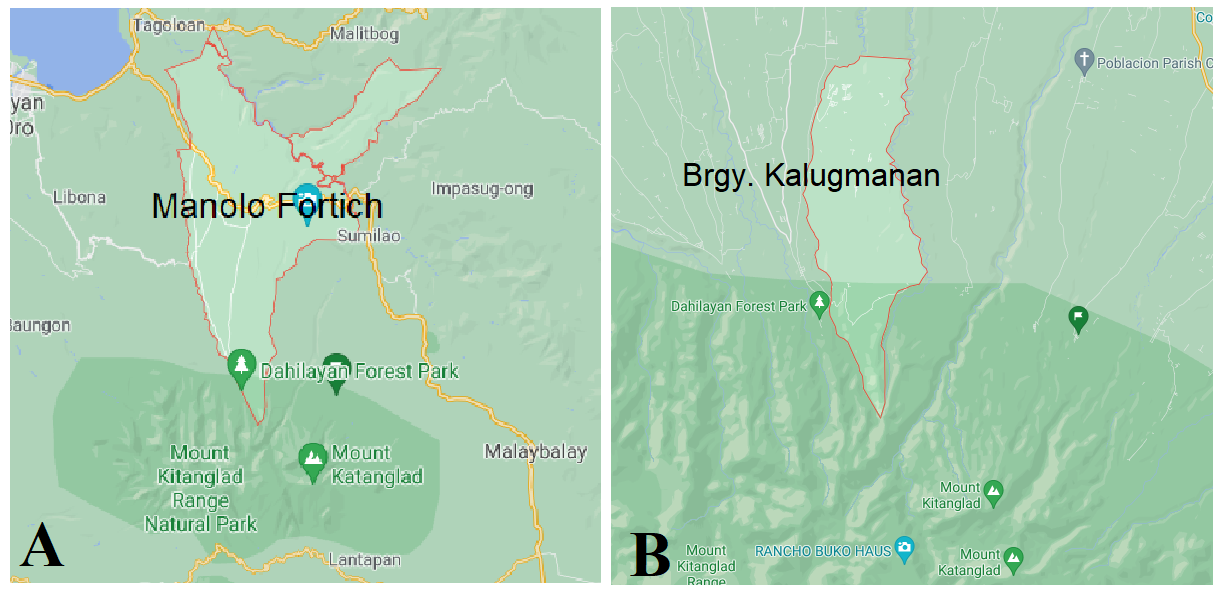Probable distribution of Pachyrhynchus ottomerkli