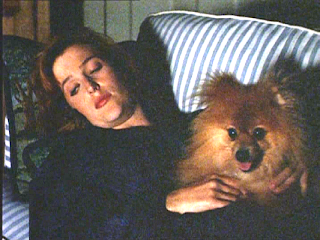 The 21 Greatest Dogs in Genre History [List] - The Geek Twins
