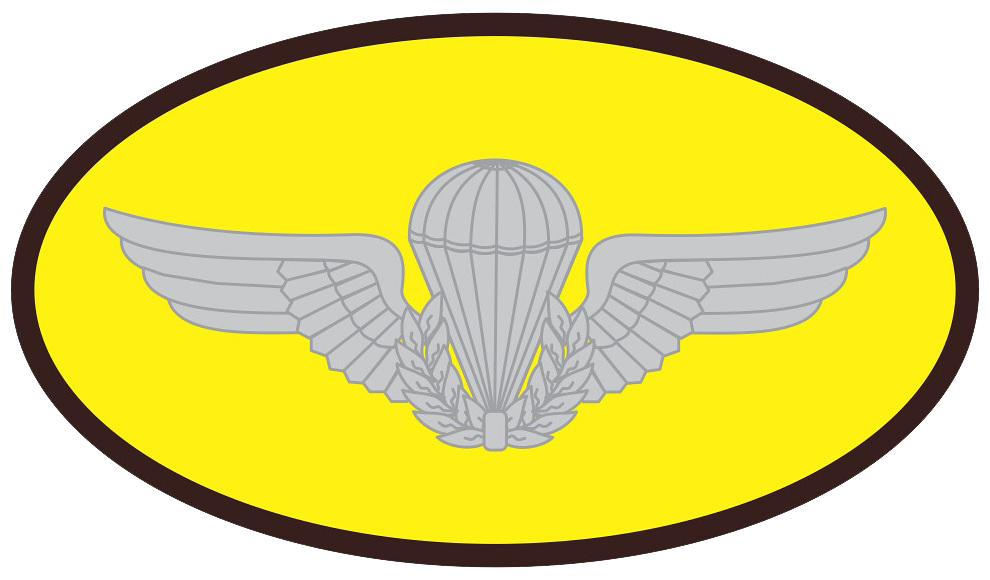 Operadores Anfíbios Audazes Unidos Intrépidos: DOMPSA