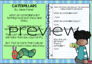 1st Grade Hip Hip Hooray!: Insects!!