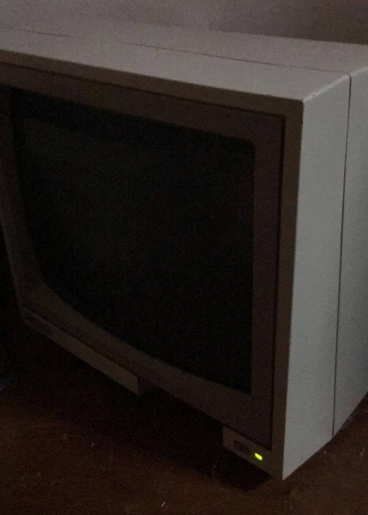 Monitor Commodore 1901 Monocromo tipo Hércules (75BM13)