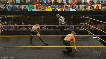 Ultimate Wrestling Gifs: