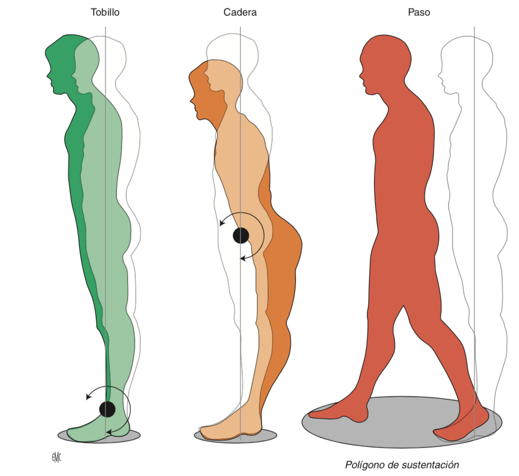 Estrategias de control postural.