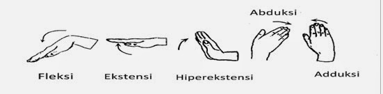 lupita pardosi: Gerakan ROM (Range Of Motion) , Nursing :)