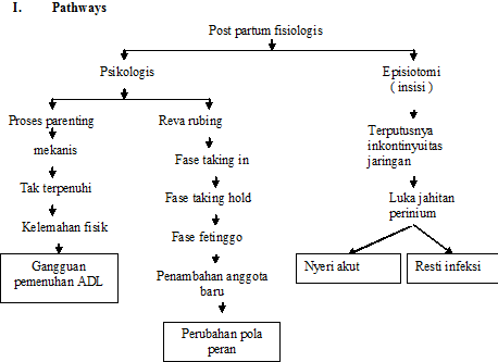 Askep Post Partum Fisiologis | Askep Lengkap