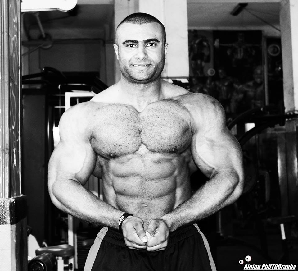 Muscle Lover: Egyptian bodybuilder Ahmed Shams