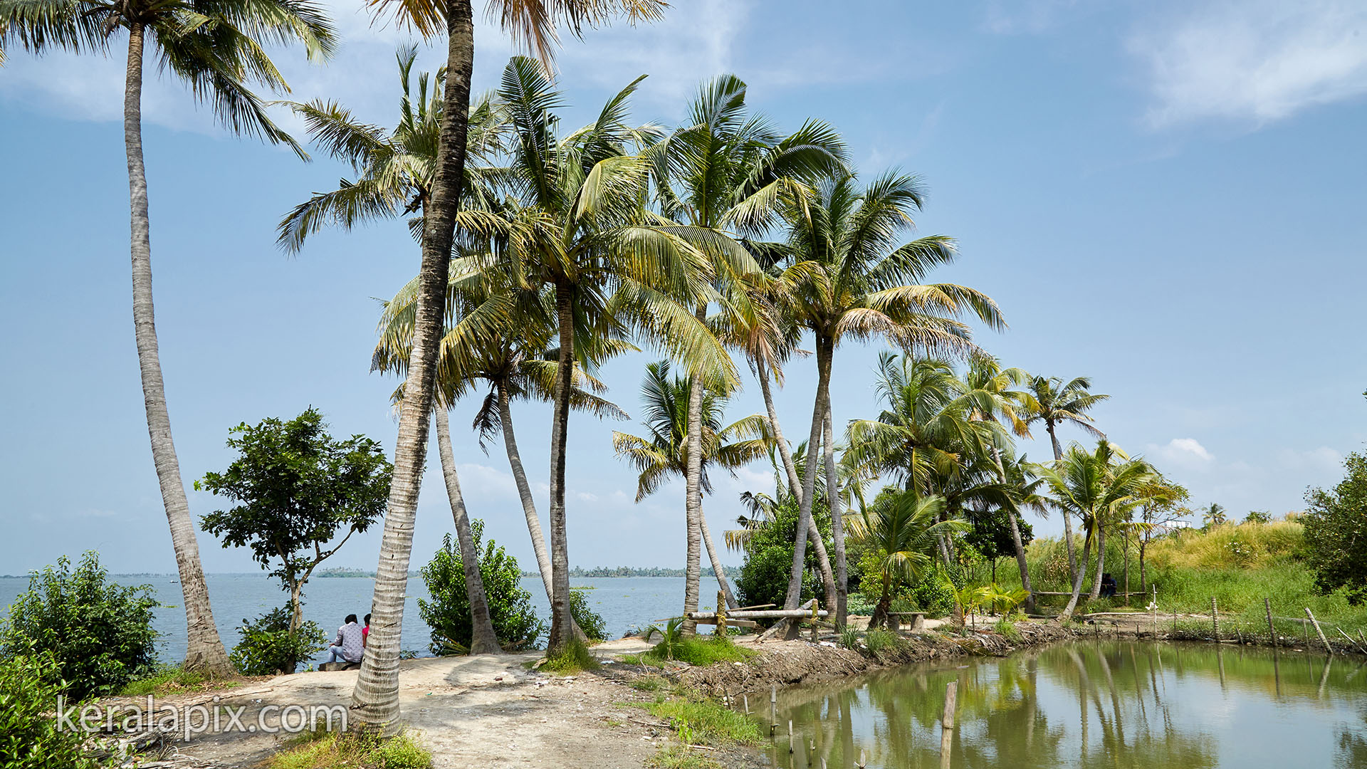 Keralapix.com: Your Ultimate Destination for Stunning Kerala Images and ...